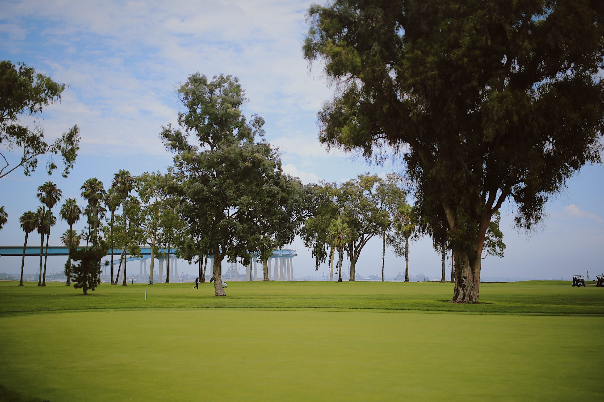 Explore Glorietta Bay on a paddling tour – The Coronado News