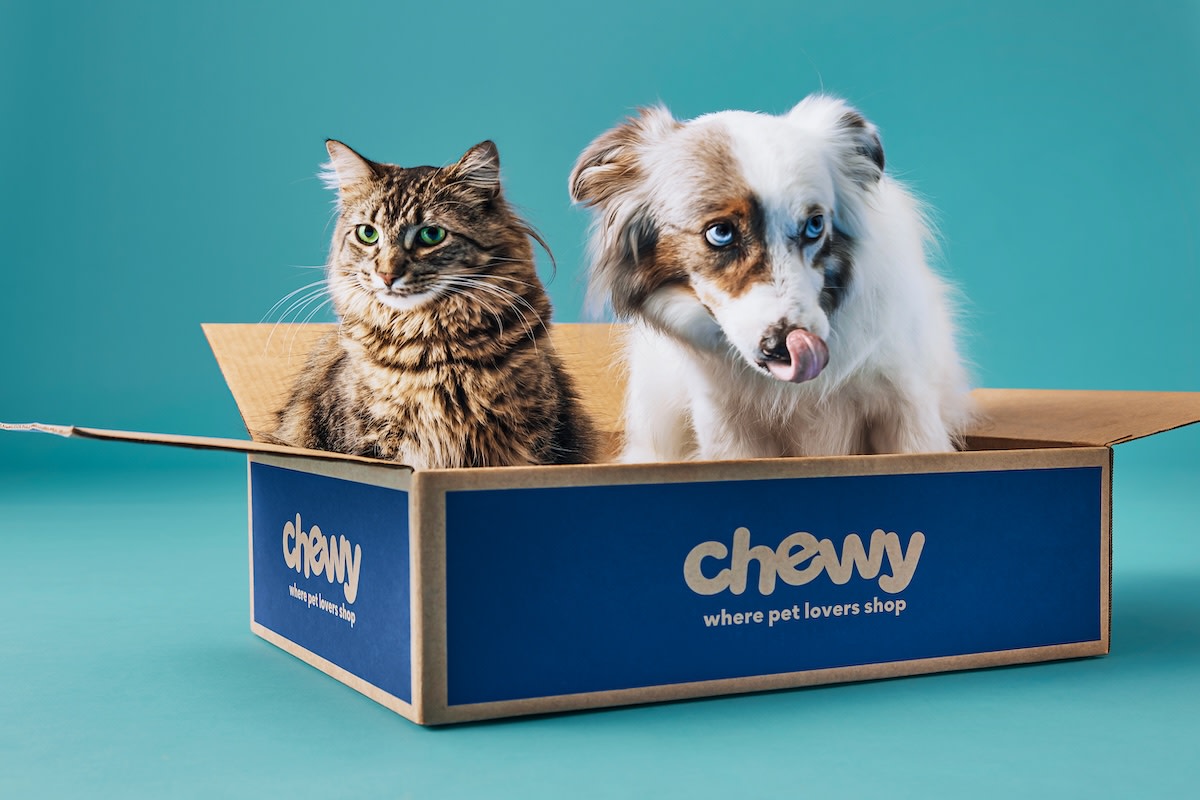 Pet parents could get free pet food for a year with Chewy contest – The ...